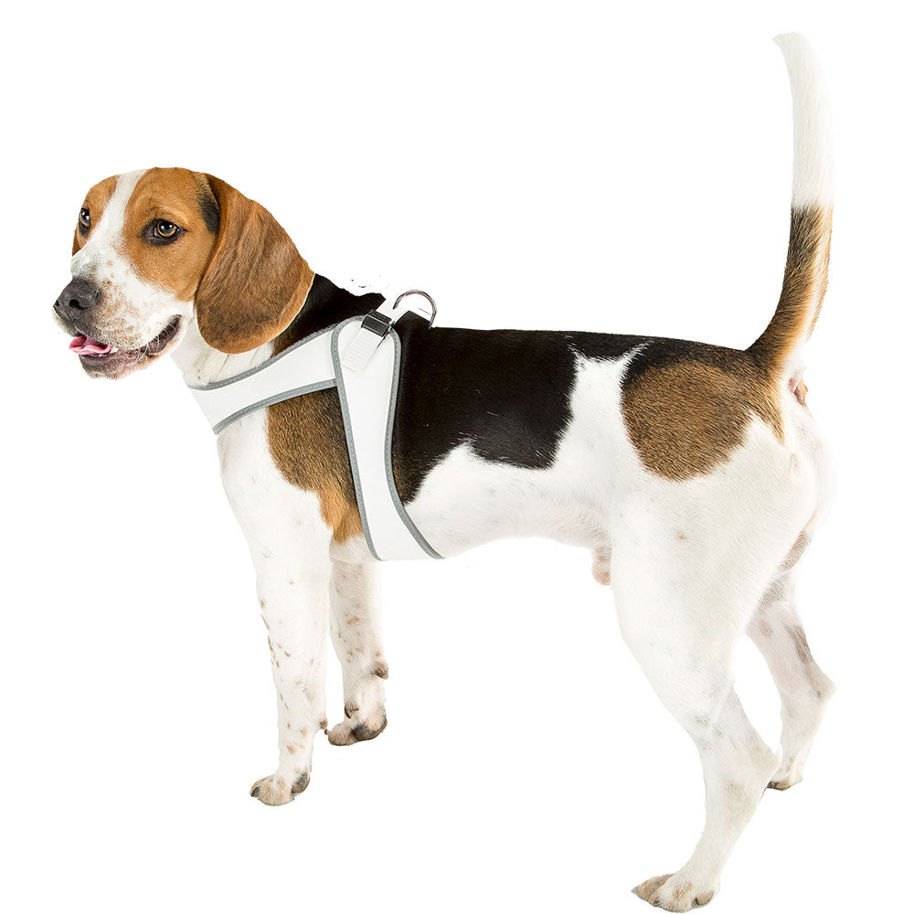 AGILA 6-9 Ferplast | Ferplast Italia